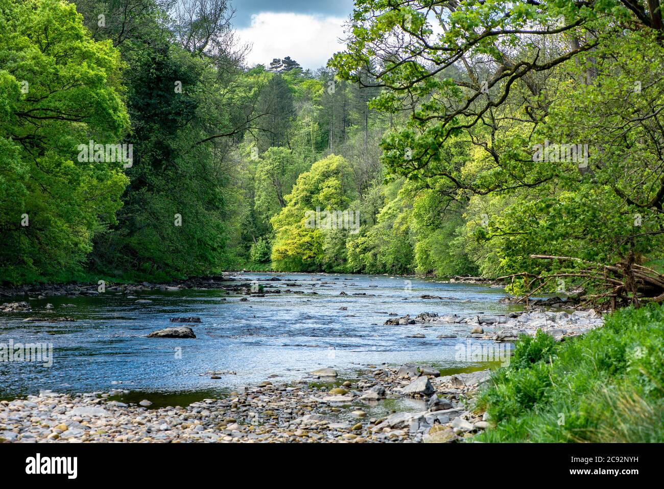River hodder spring hi-res stock photography and images - Alamy