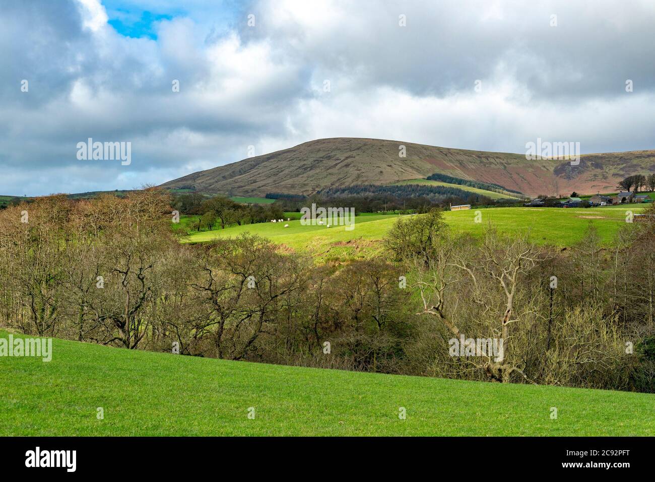 View towards Parlick Fell, Chipping, Preston, Lancashire, England ...