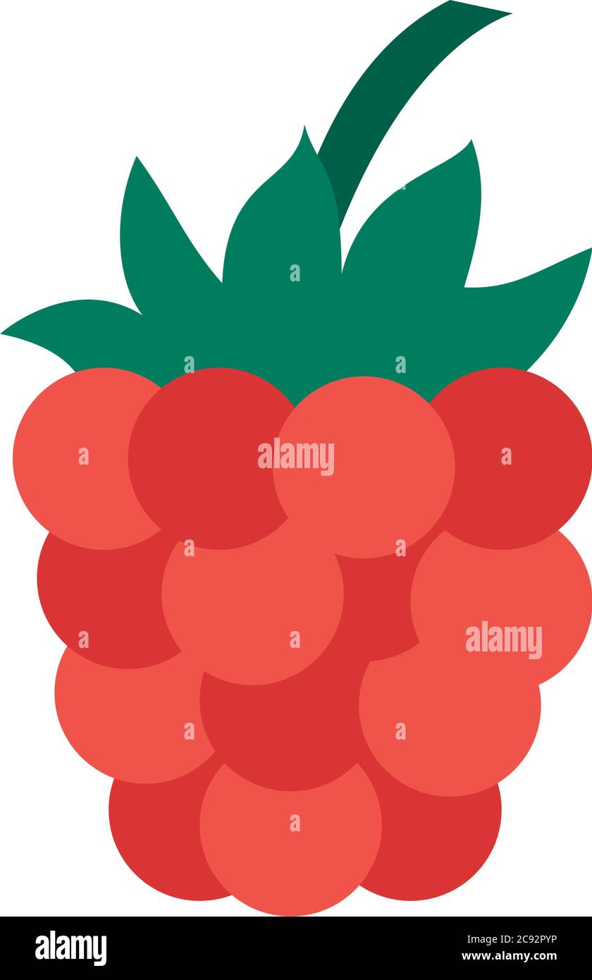 bunch of blackberries icon over white background, flat style, vector ...