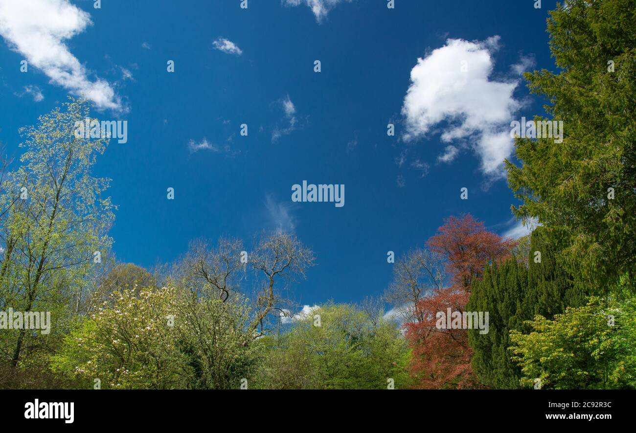 Lancashire spring hi-res stock photography and images - Alamy