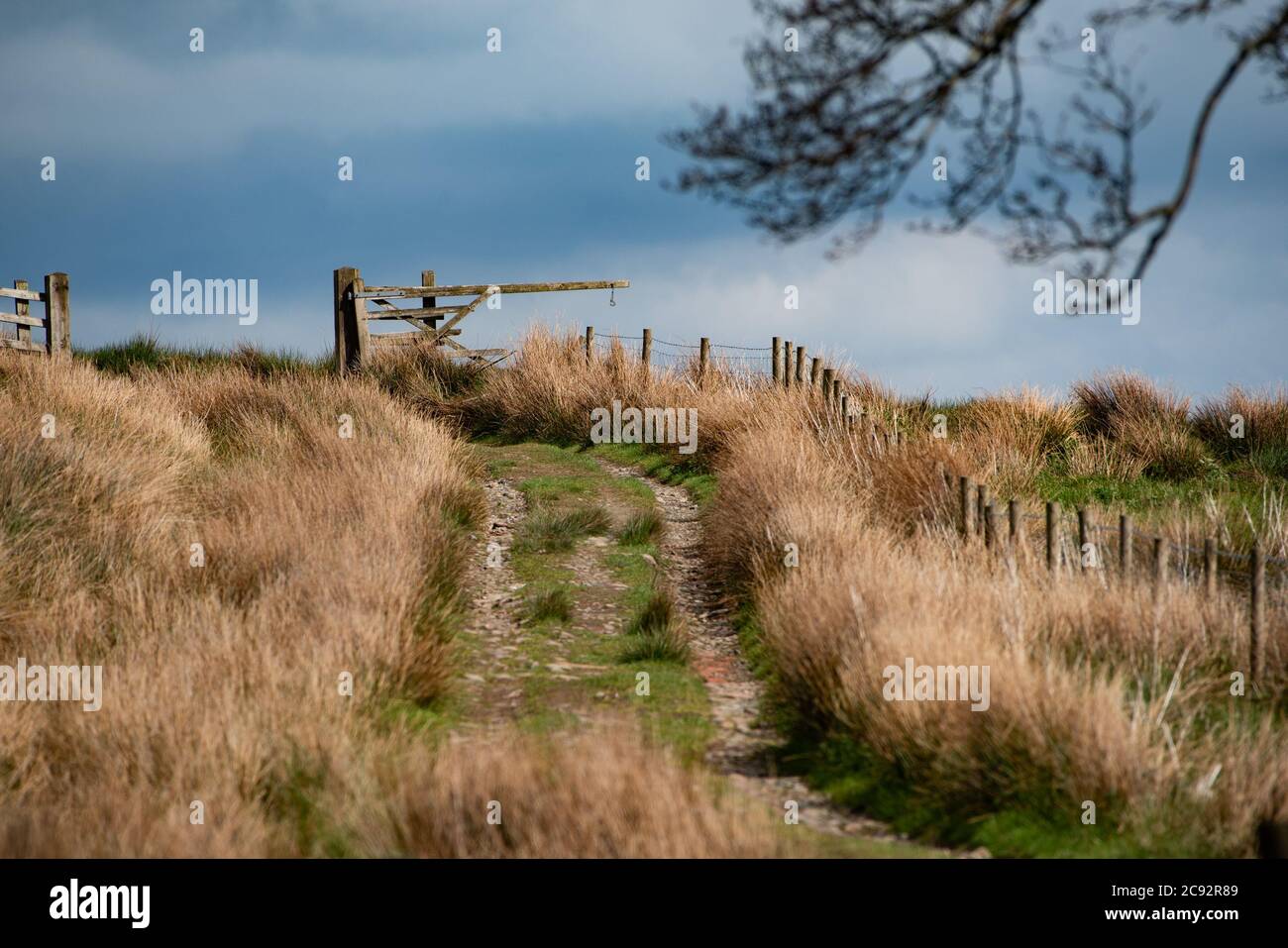Broken gate hi-res stock photography and images - Alamy