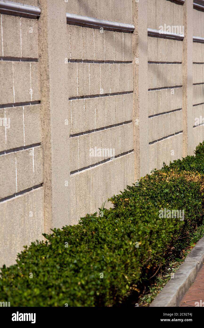 High stone fence with the bushes growing before a wall Stock Photo - Alamy