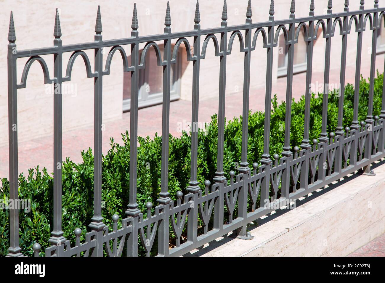 Forged iron fence with peaks and ornament with green evergreen bushes ...