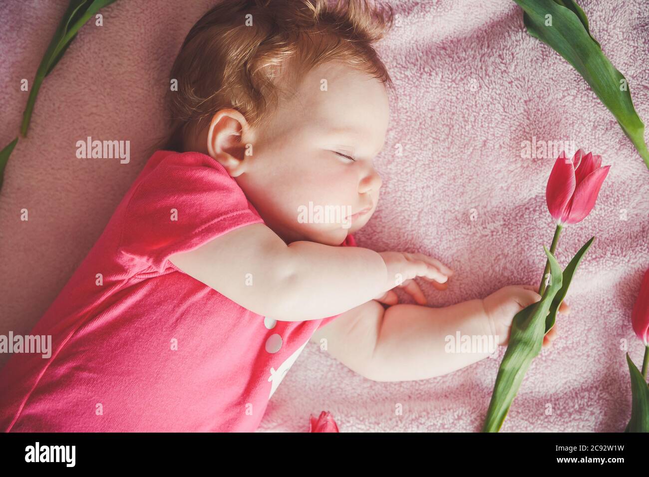 Cute Babies In Flowers