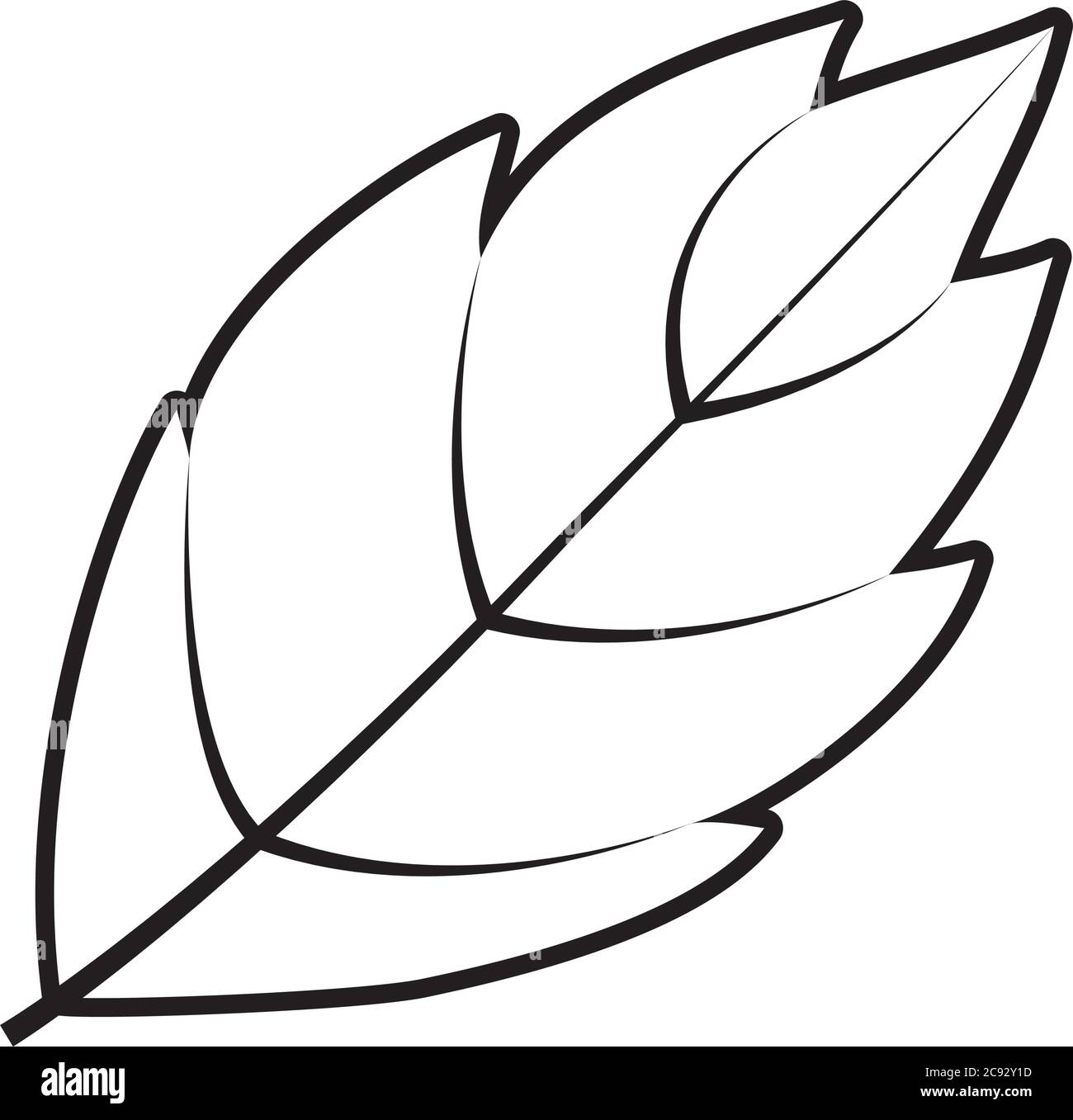 tropical leaf line style icon design of Natural floral nature and plant ...