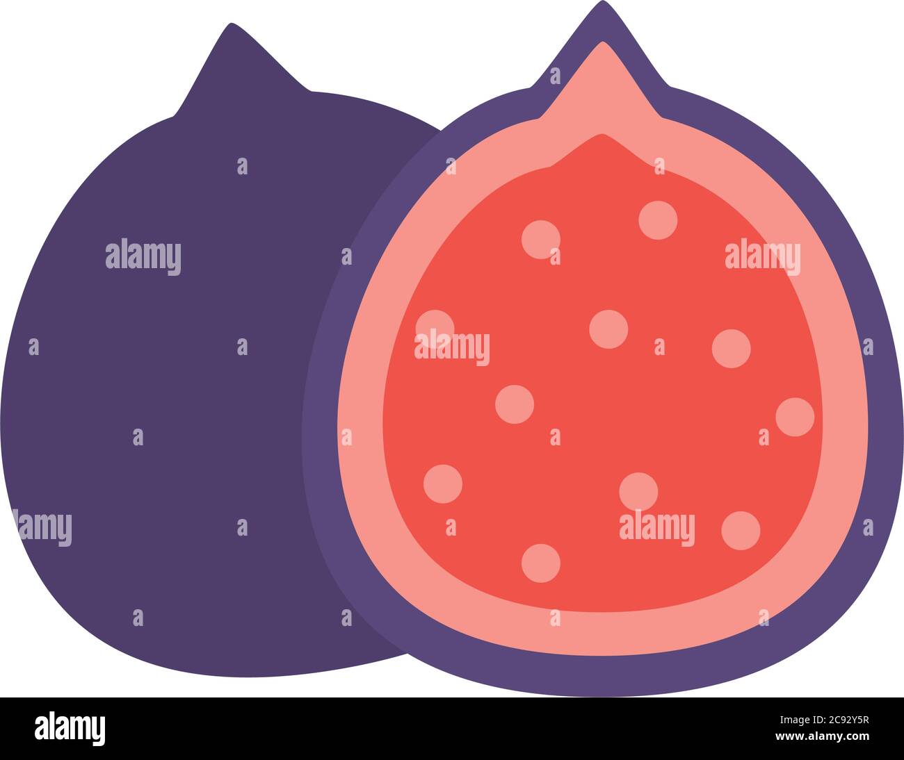 pitaya fruit icon over white background, flat style, vector ...