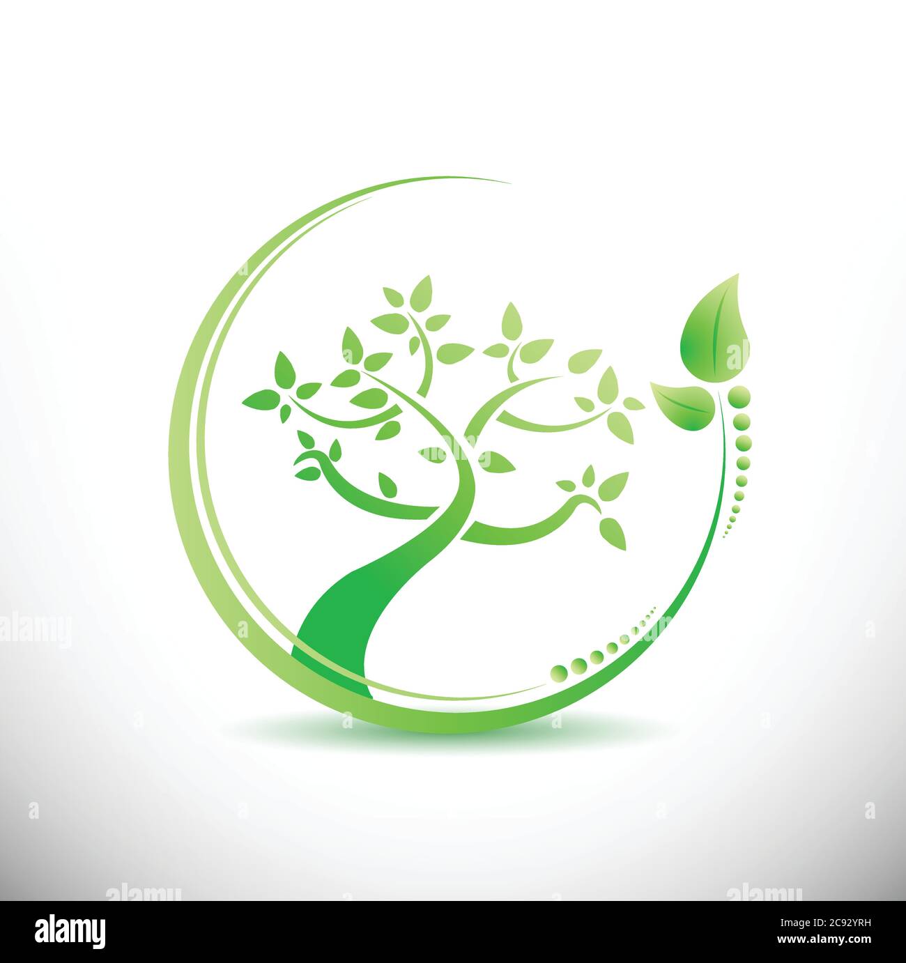 Natural tree cycle illustration design over a white background Stock ...