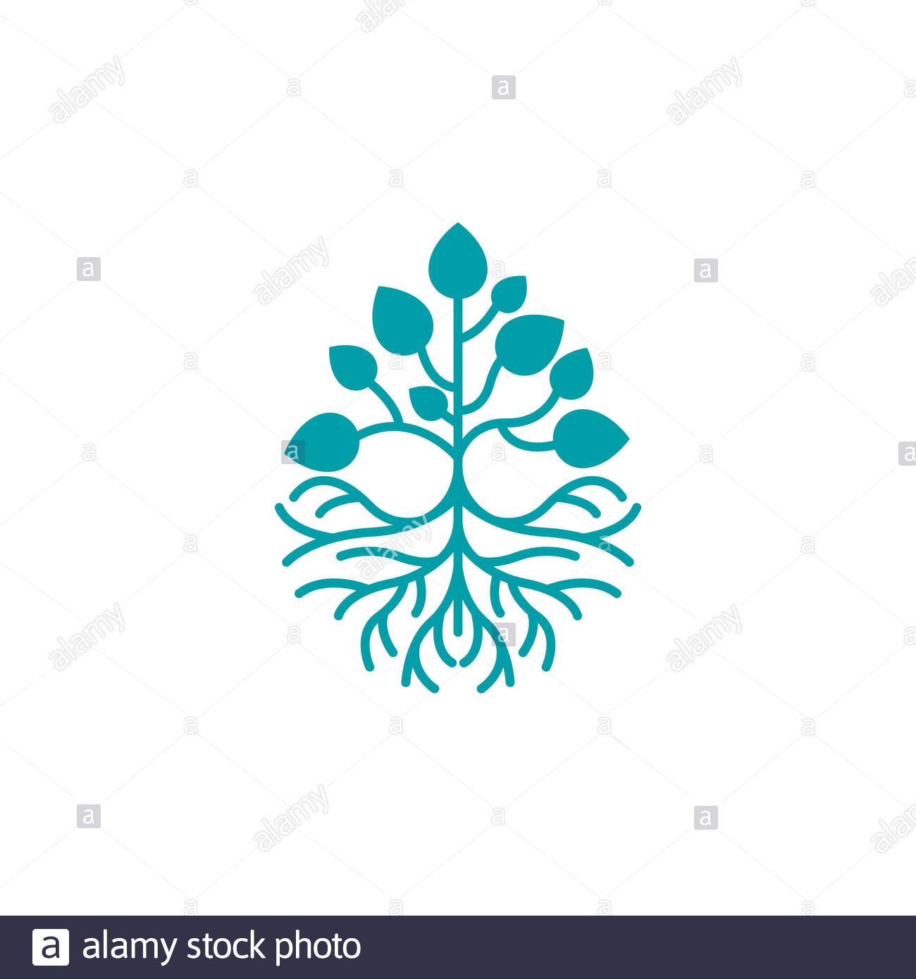 Roots Root Stock Vector Images - Alamy
