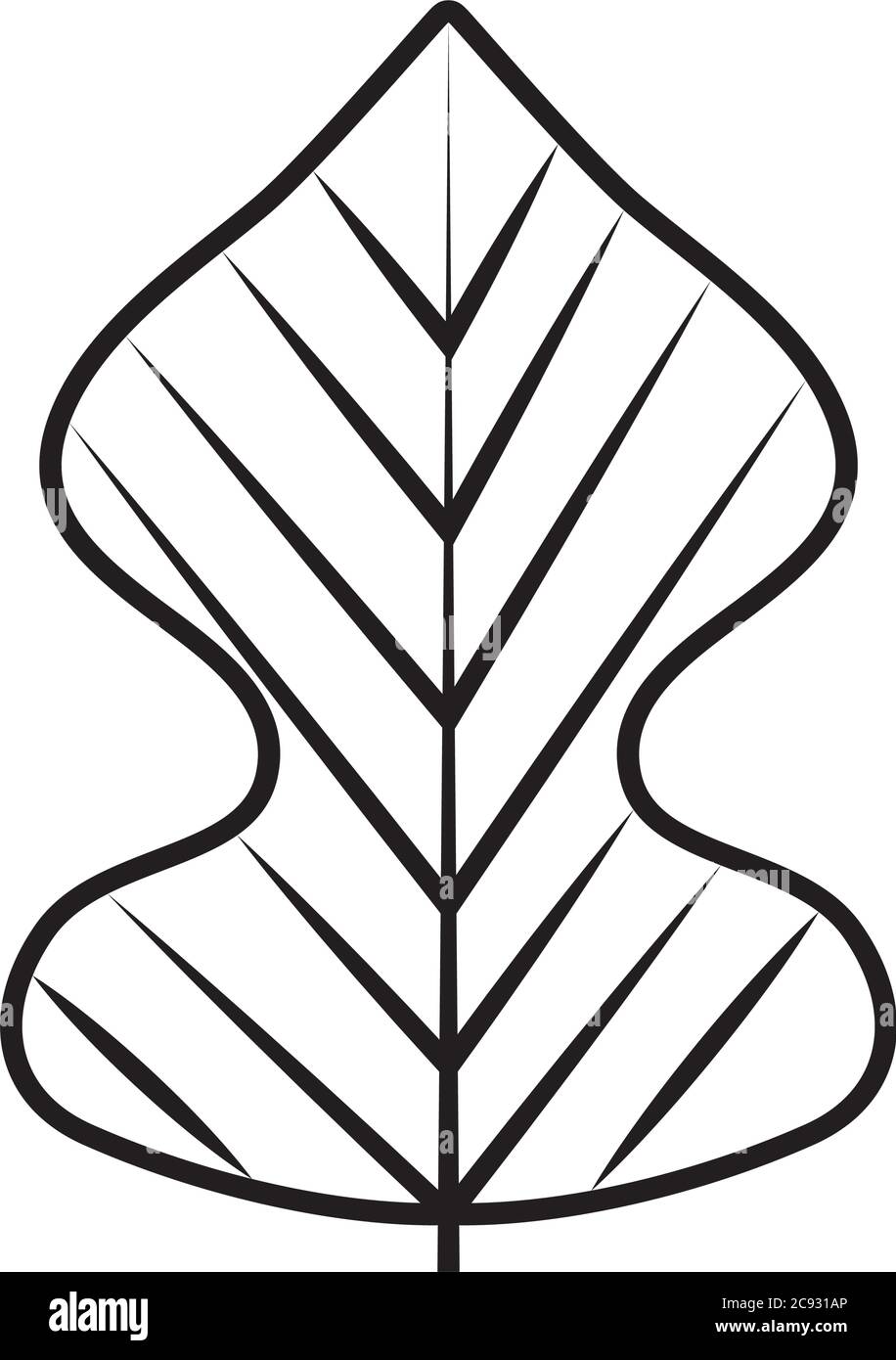 tropical leaf line style icon design of Natural floral nature and plant ...