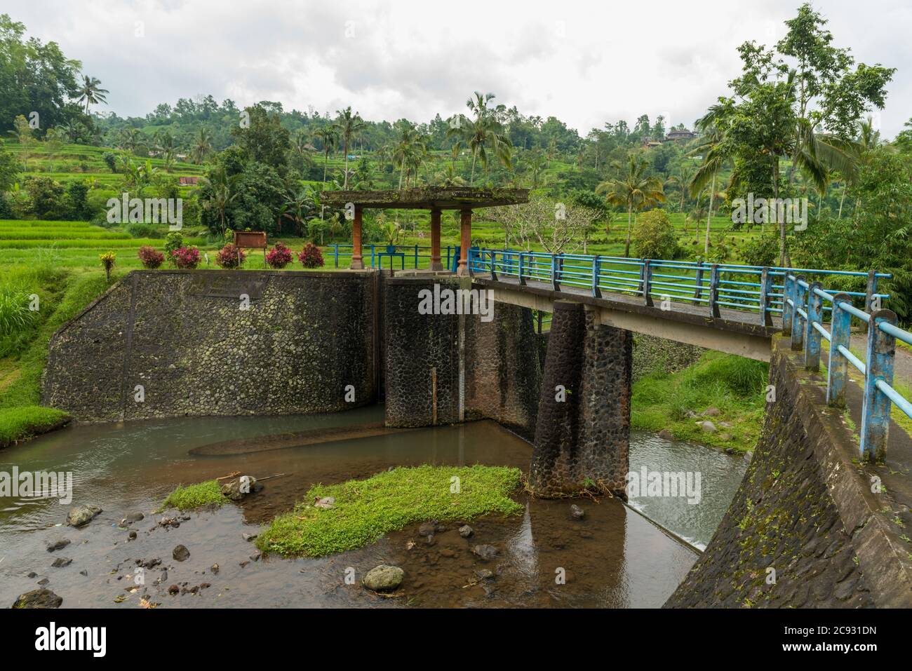 Paddy irrigation water pump hi-res stock photography and images - Alamy