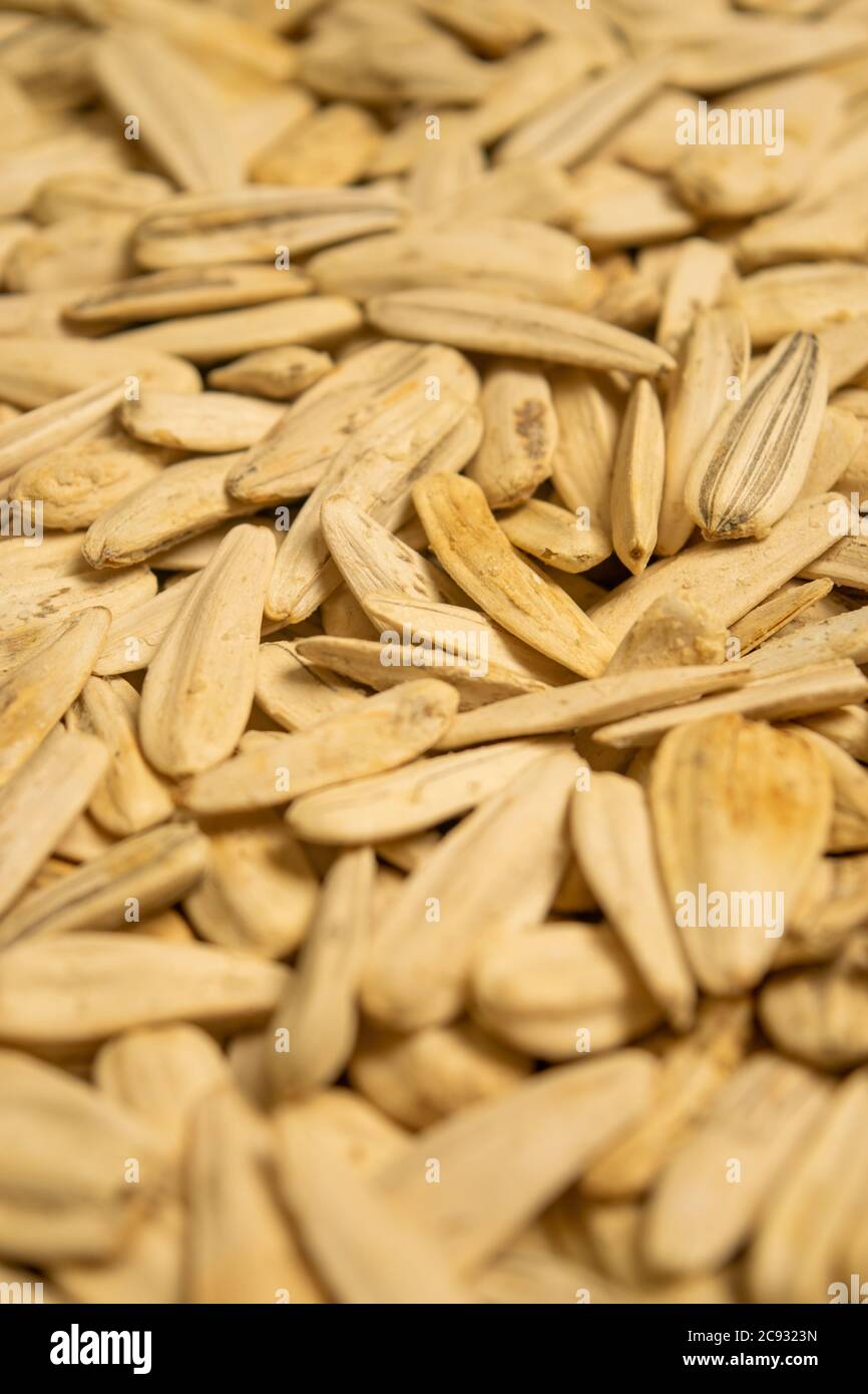 White sunflower seeds roasted with sea salt the texture of the surface ...