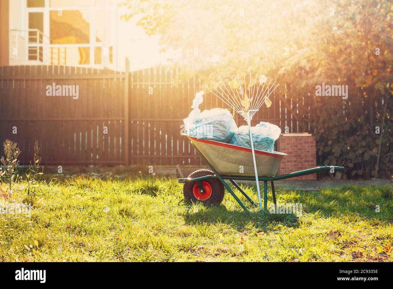 garden wheelbarrow with garbage bags and rakes standing on the grass ...
