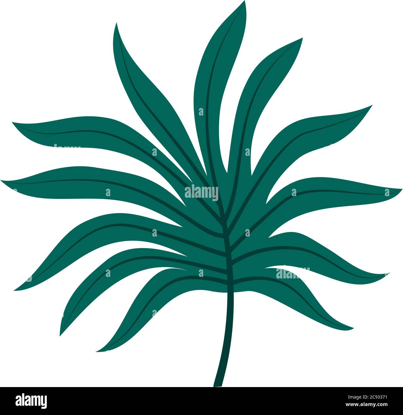 tropical palm leaf flat style icon design of Natural floral nature and ...