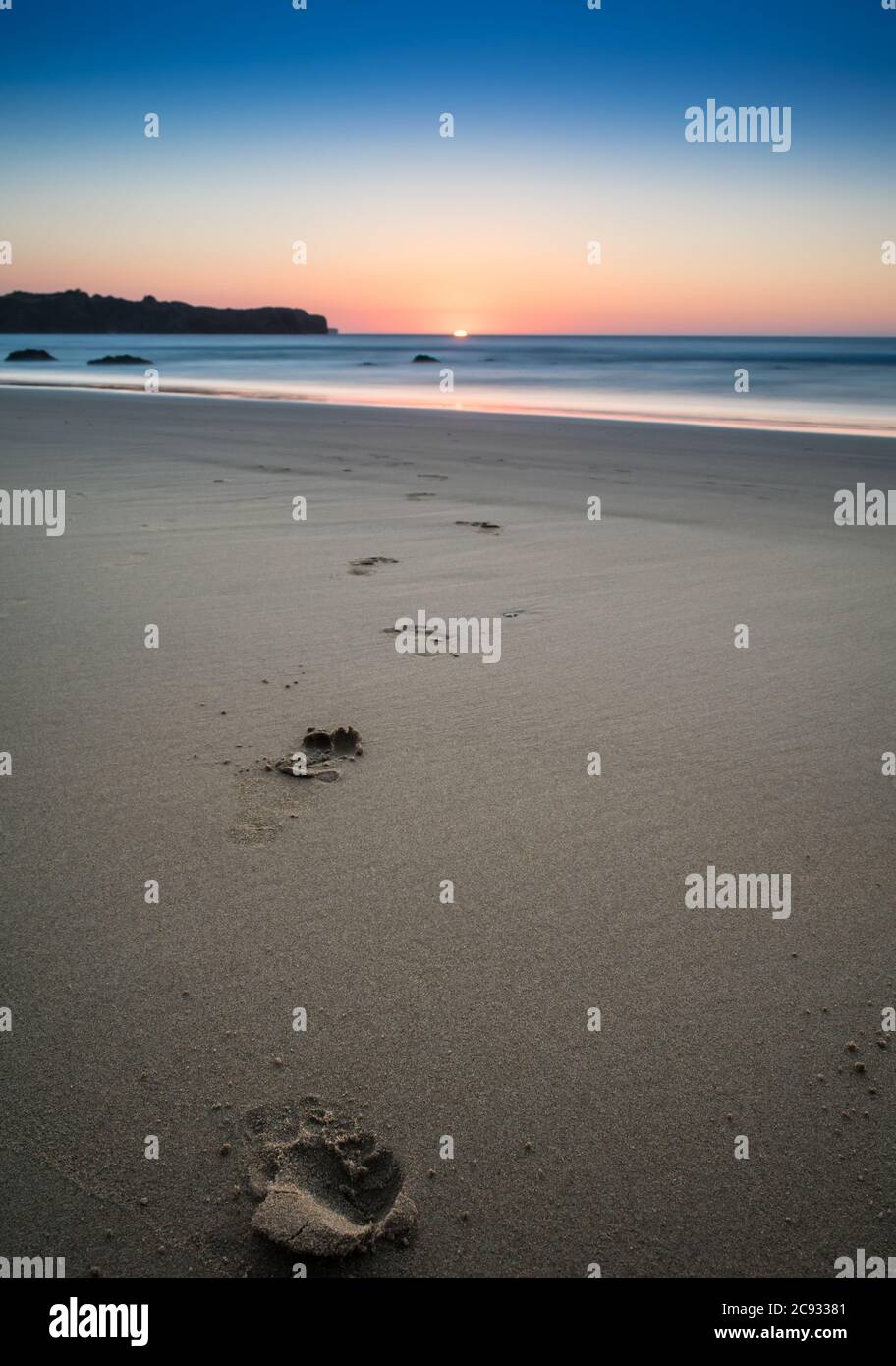 footsteps go to the sunset on the sea Stock Photo - Alamy