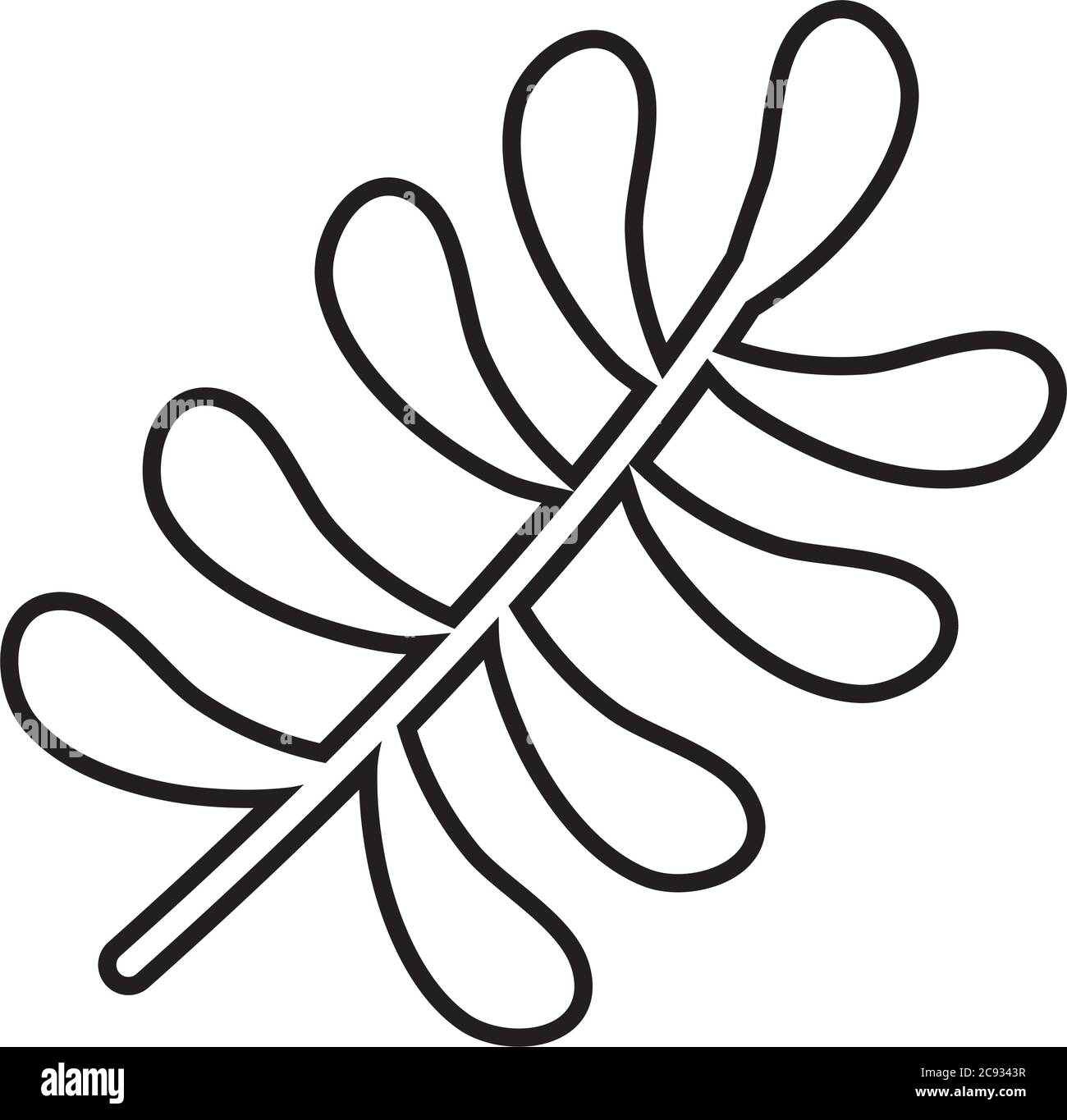 tropical leaf line style icon design of Natural floral nature and plant ...