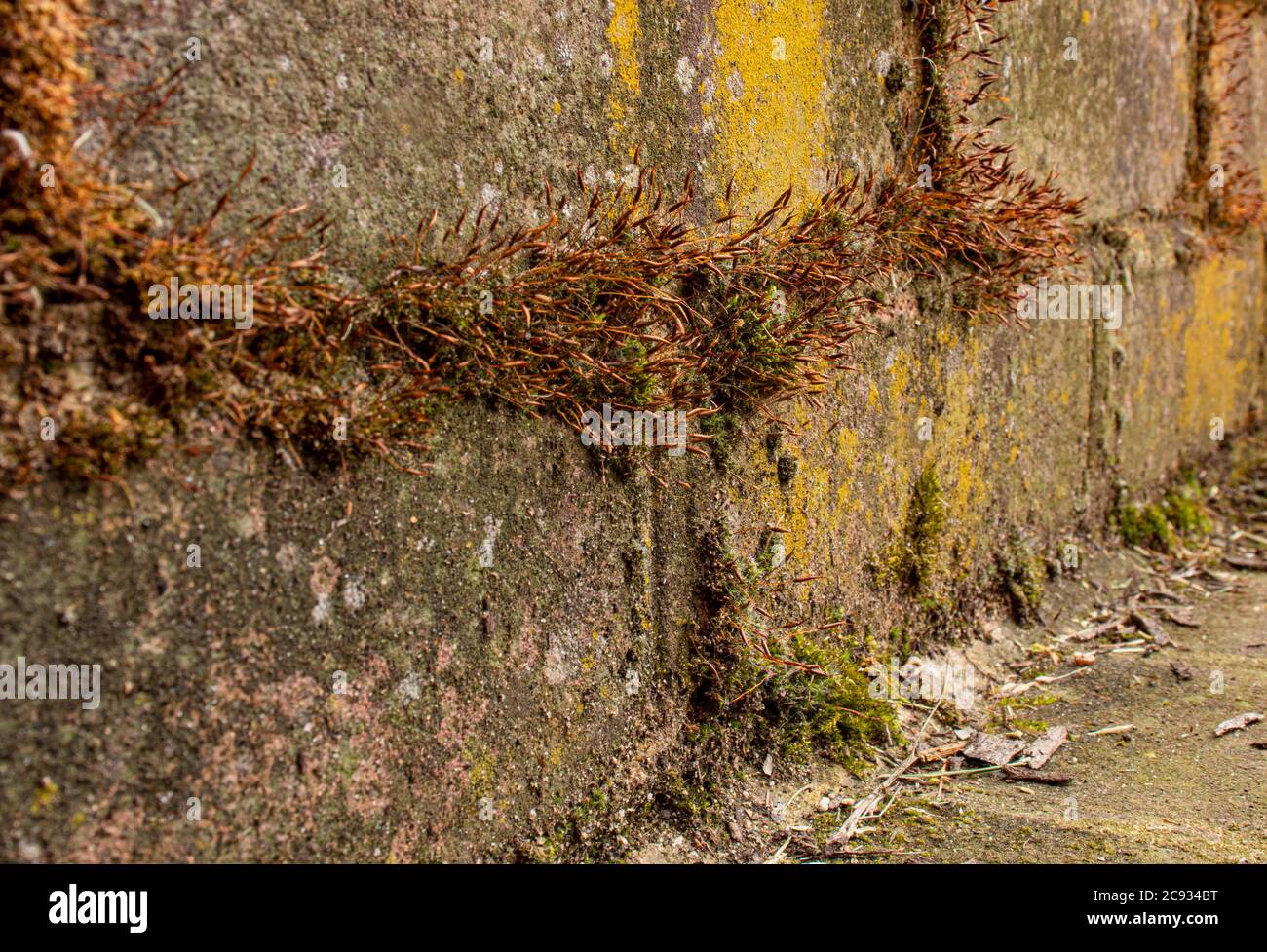 Sustainable building brick hi-res stock photography and images - Alamy