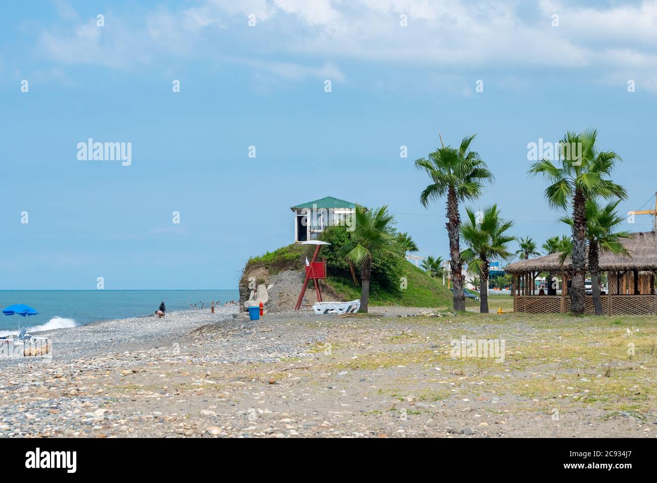 Palm trees on the Black Sea coast in Anaklia, Georgia Stock Photo - Alamy