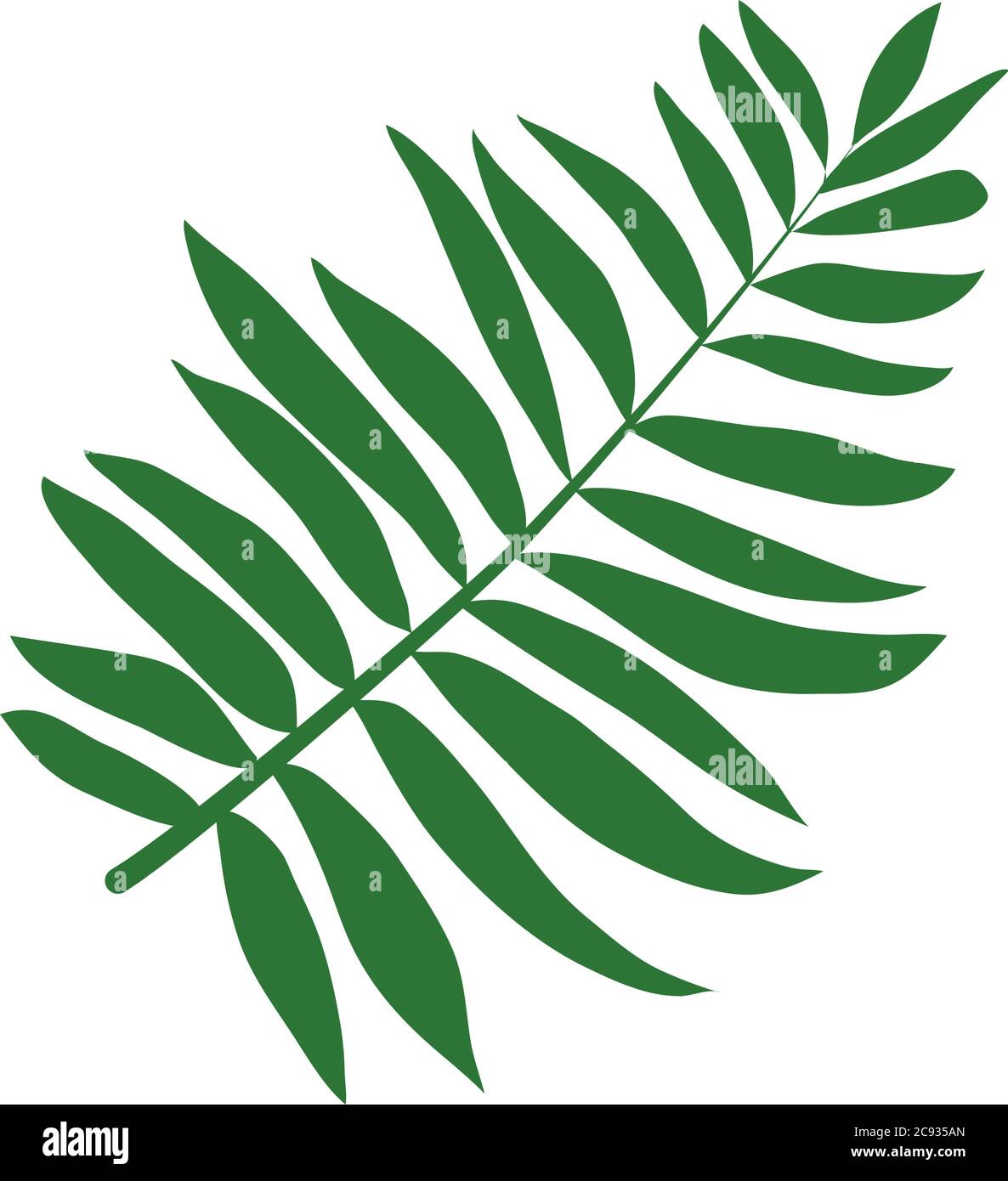 tropical fern leaf flat style icon design of Natural floral nature and ...