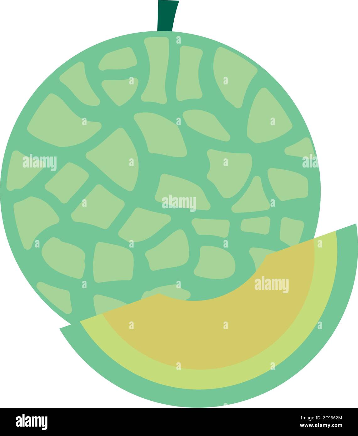 melon fruit icon over white background, flat style, vector illustration ...