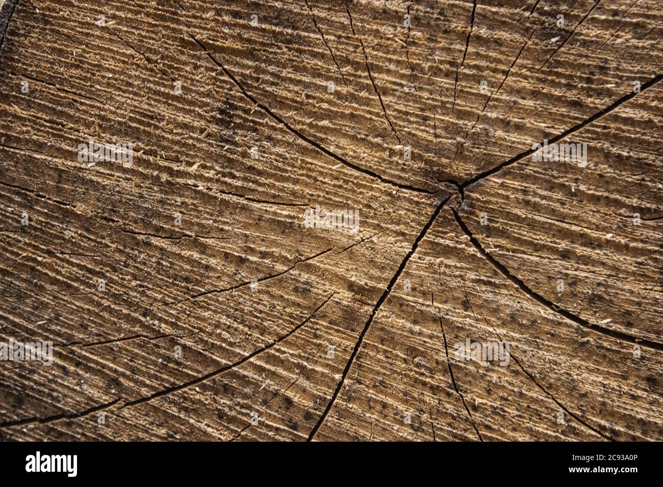 Closeup shot of wood textural details Stock Photo - Alamy