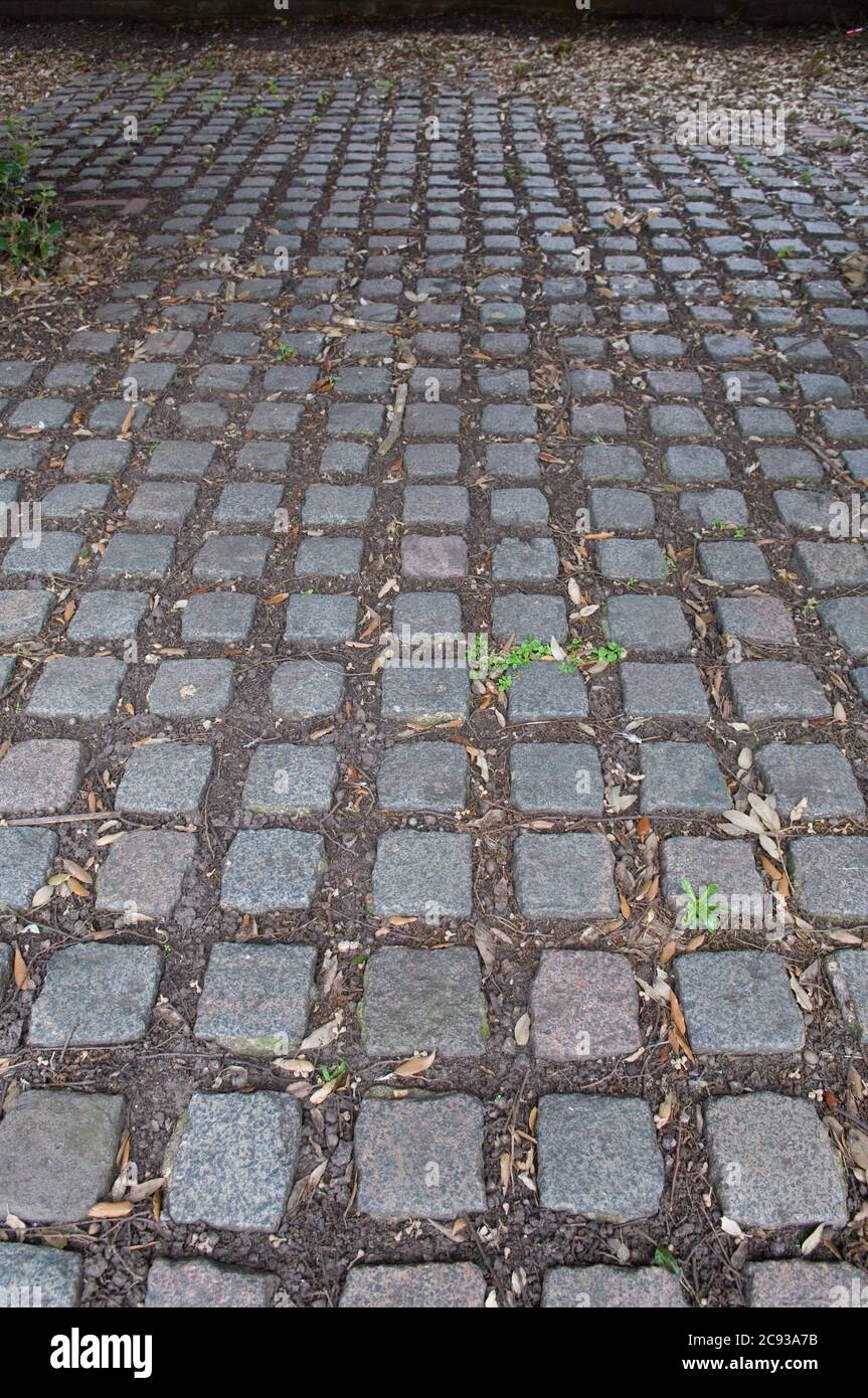 Block paved pavement Stock Photo - Alamy