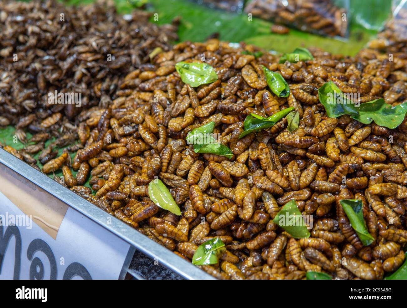 Insect selling in thailand street hi-res stock photography and images ...