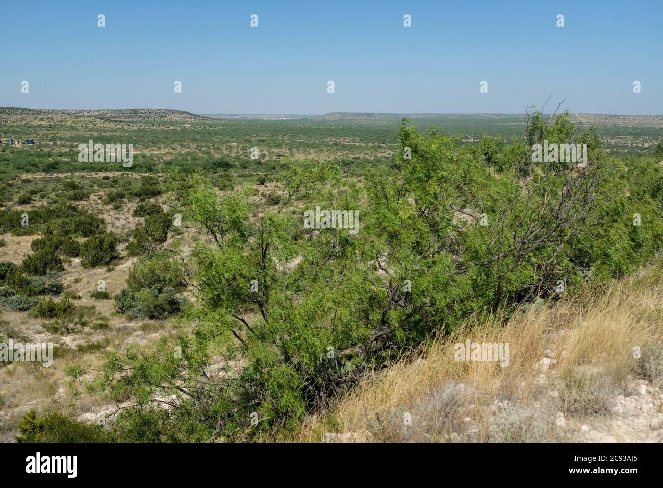 Beautiful shot of west Texas scenery with a clear blue sky Stock Photo ...