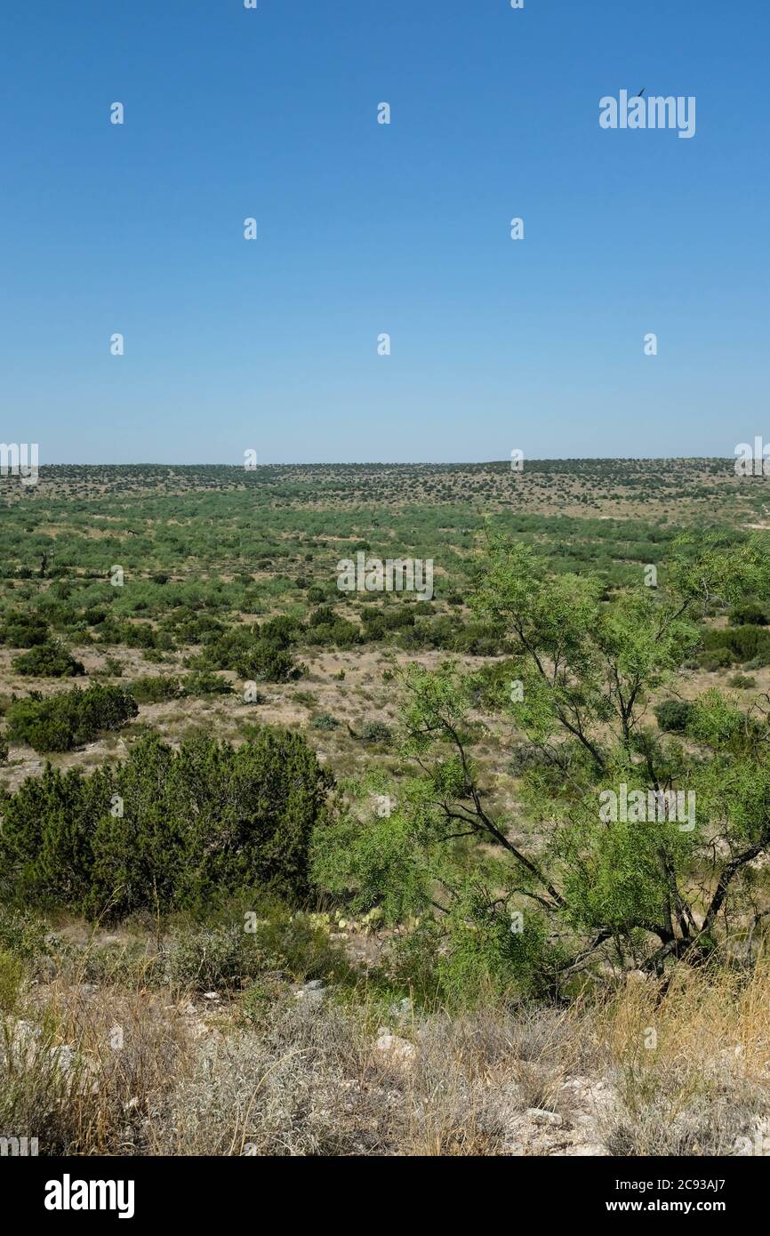 Beautiful shot of west Texas scenery with a clear blue sky Stock Photo ...