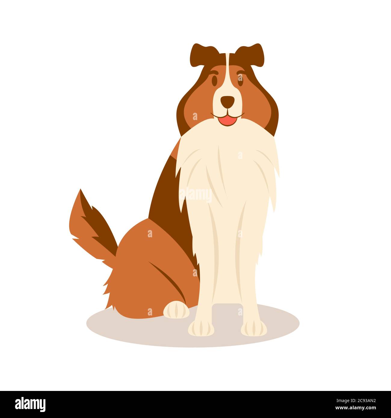 Collie dog smile Cut Out Stock Images & Pictures - Alamy