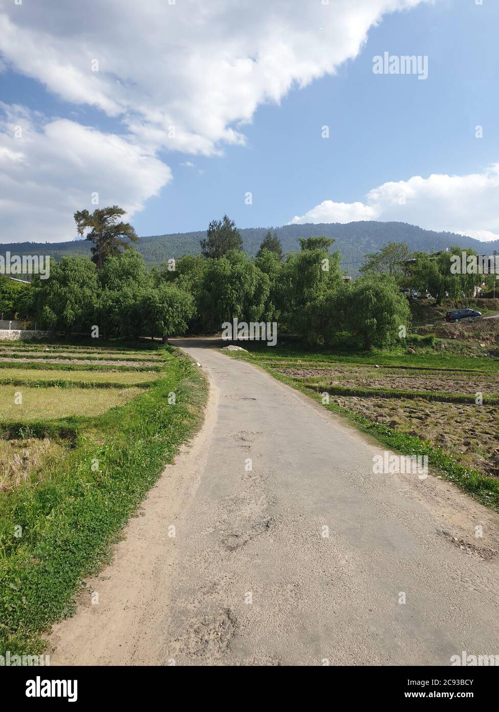 A beautiful countryside road in the Himalayas, in the country of Bhutan ...