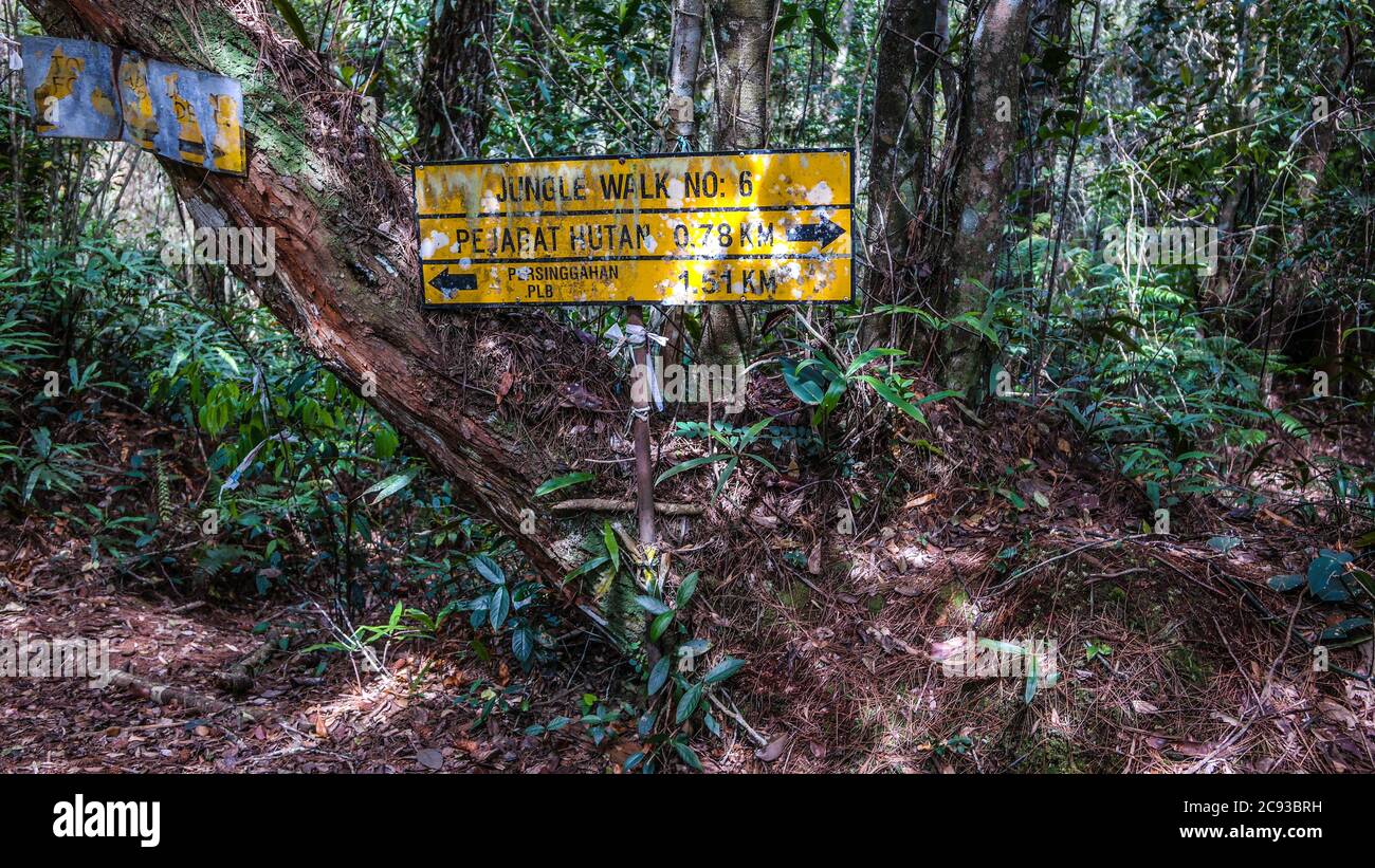 Trail sign jungle plants hi-res stock photography and images - Alamy