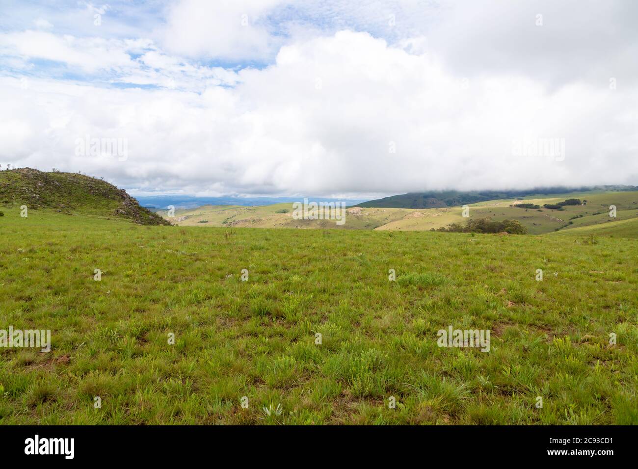 Landscape in Malolotja Nature Reserve, northern Swasiland, Hhohho ...