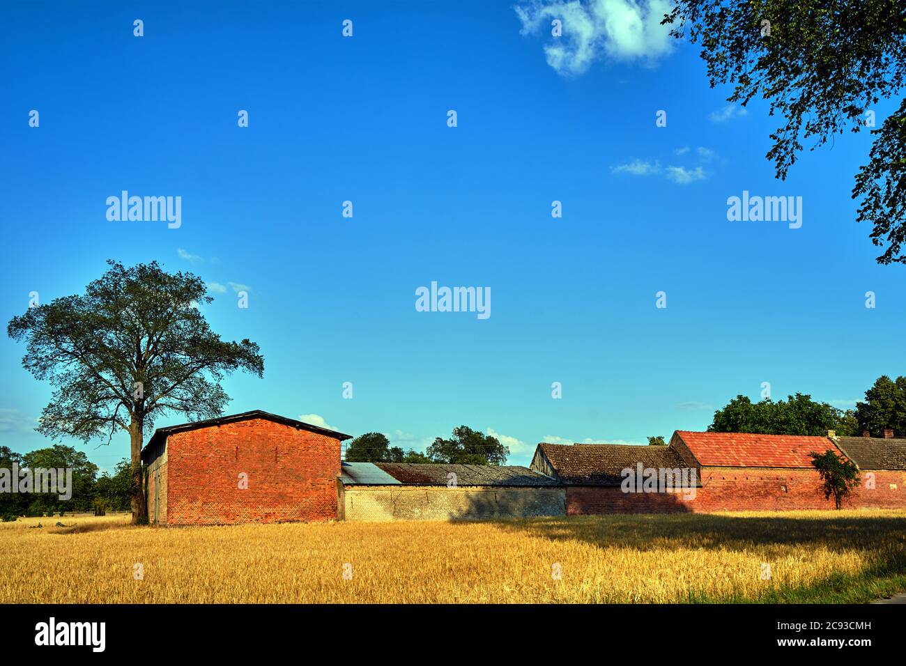 Rural landscape with arable fields and farm buildings in summer in ...