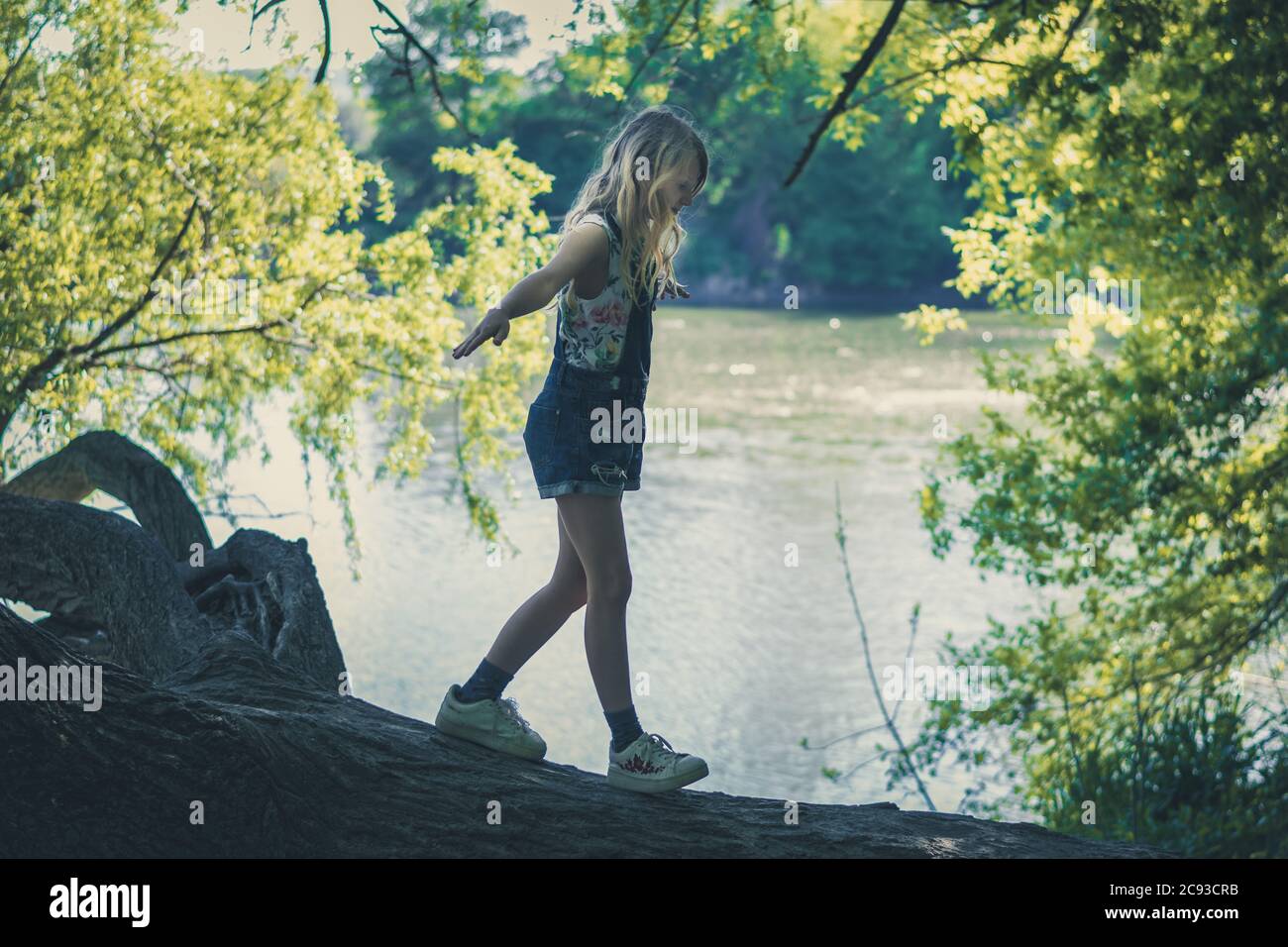little lovely girl walking on tree trunk in beautiful green nature by ...