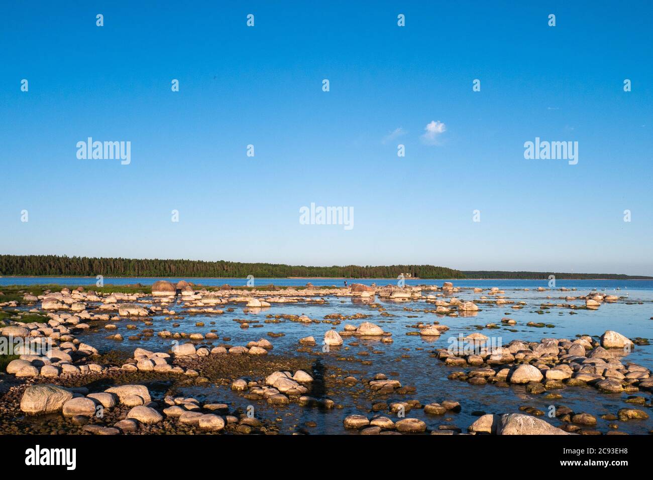 Beautiful ocean coast with myriad stones Stock Photo - Alamy