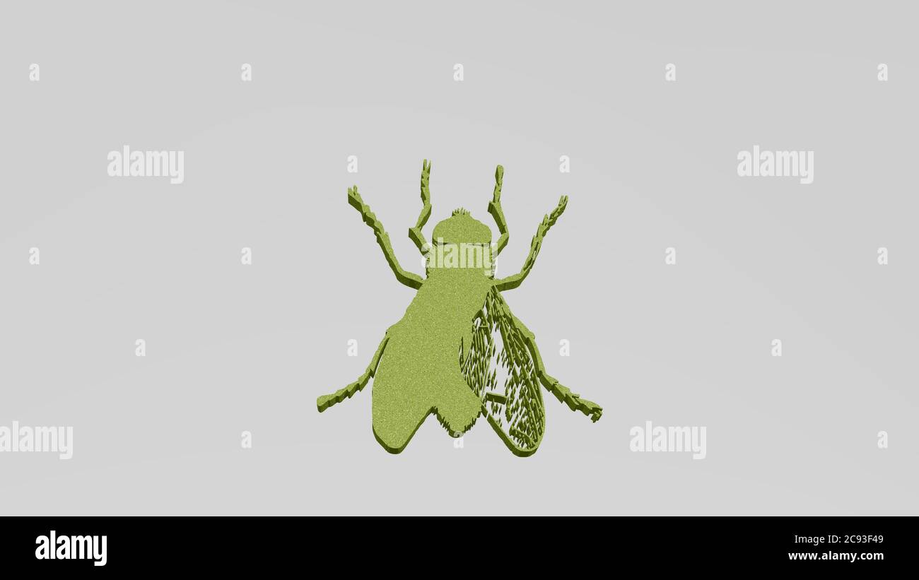 INSECT FLY from a perspective on the wall. A thick sculpture made of ...