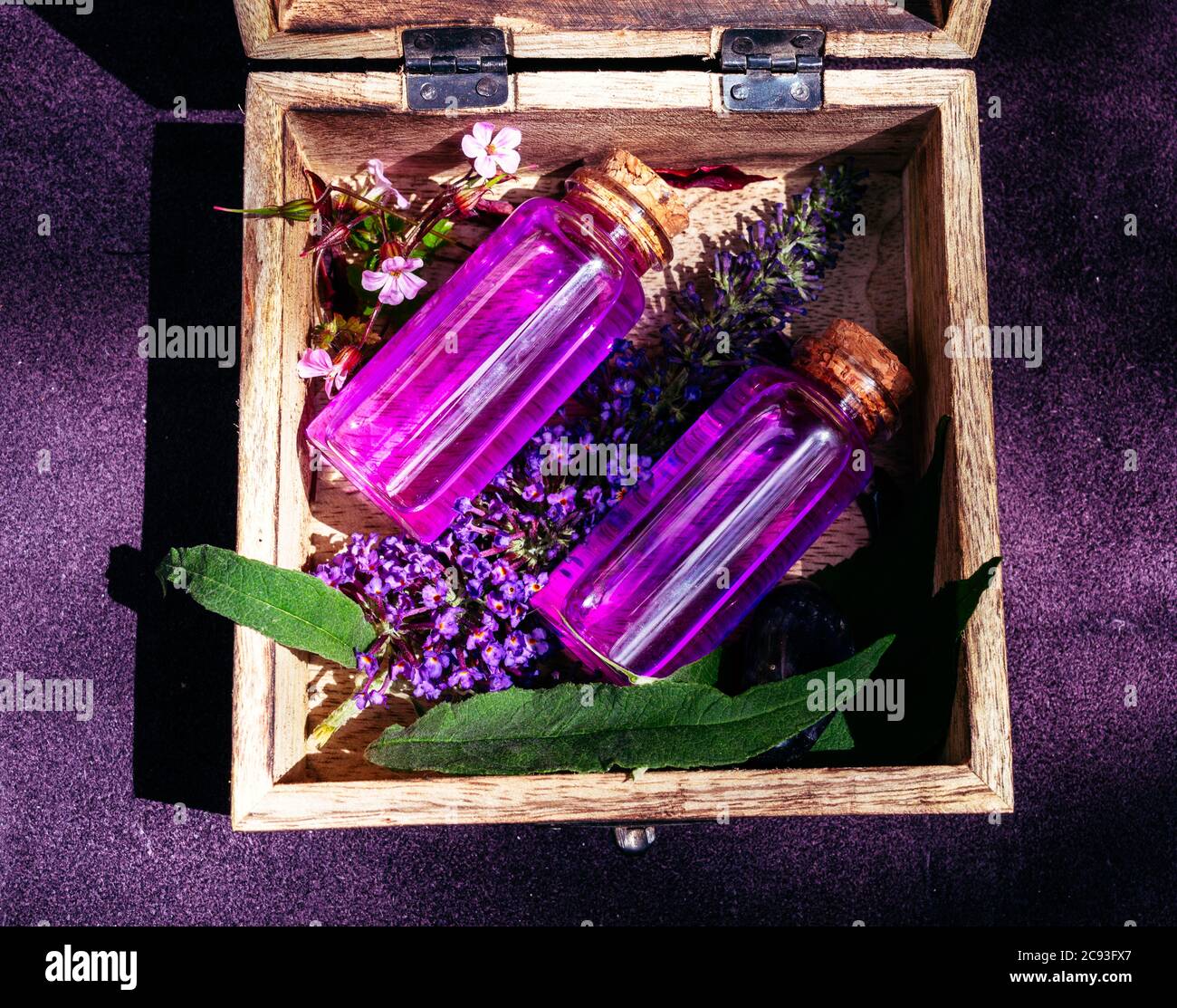 High contrast. Two pink love potions in a wooden box with flowers Stock ...