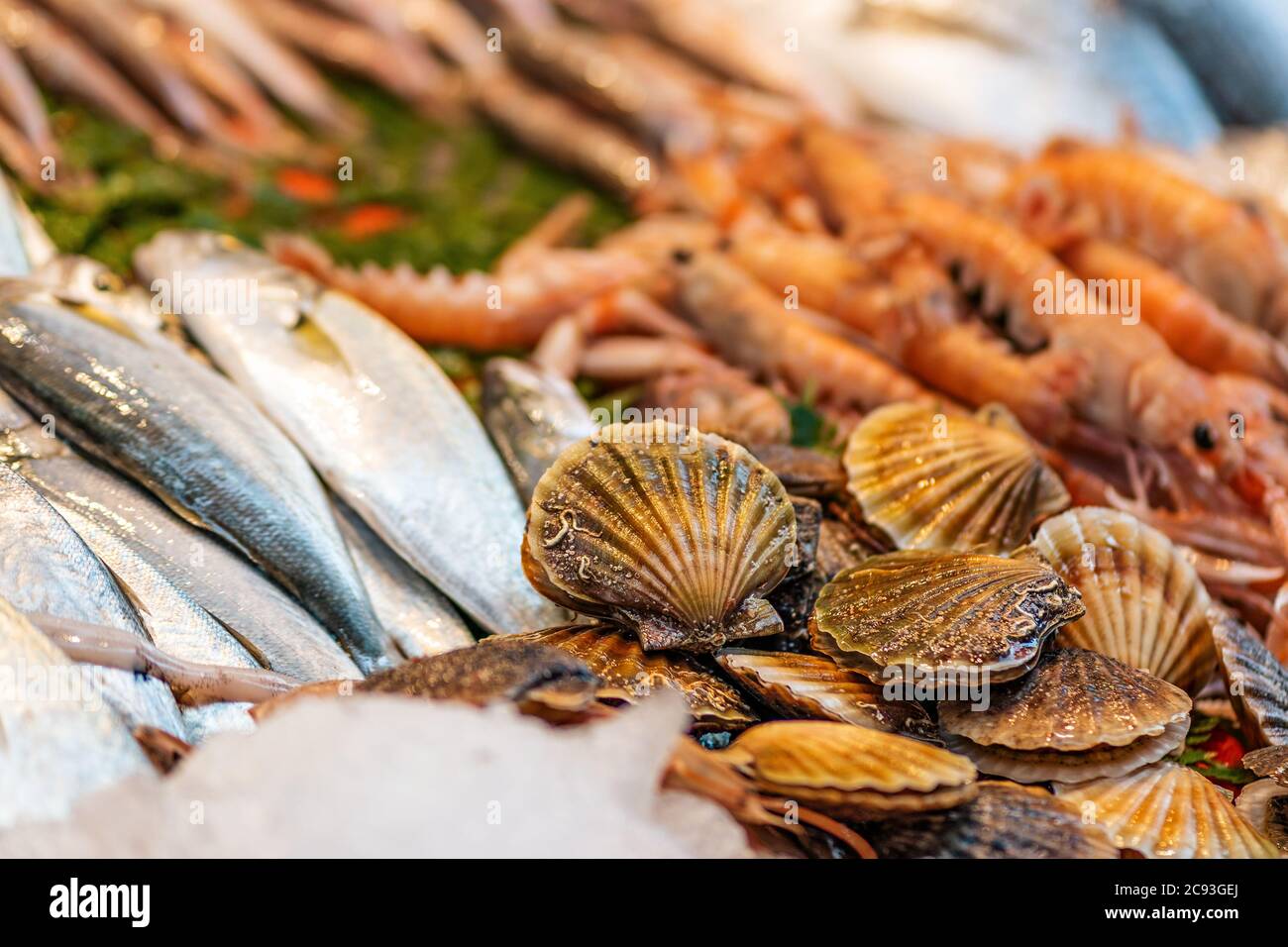 Octopus fish counter hi-res stock photography and images - Alamy