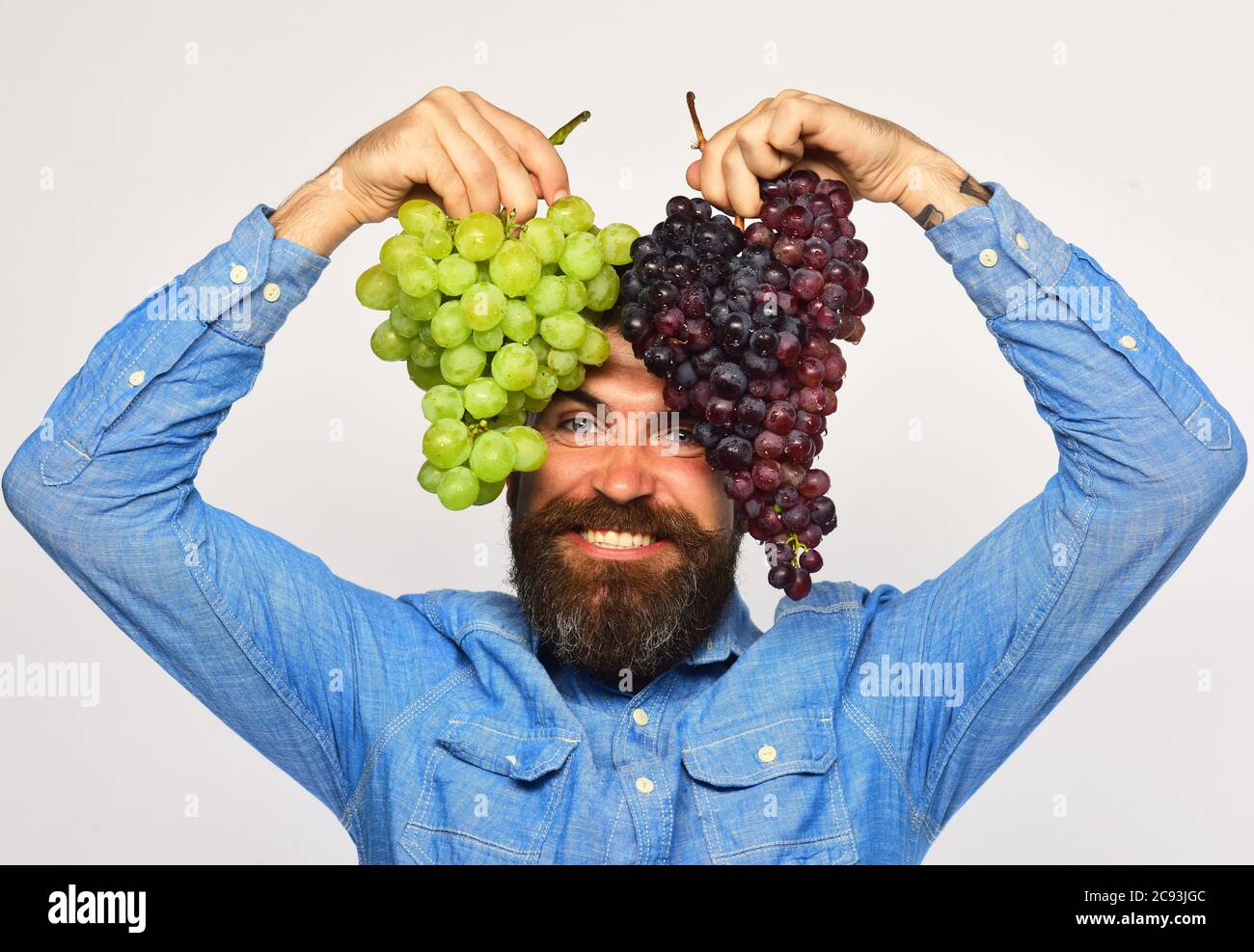 Man with beard holds bunches of black and green grapes isolated on ...