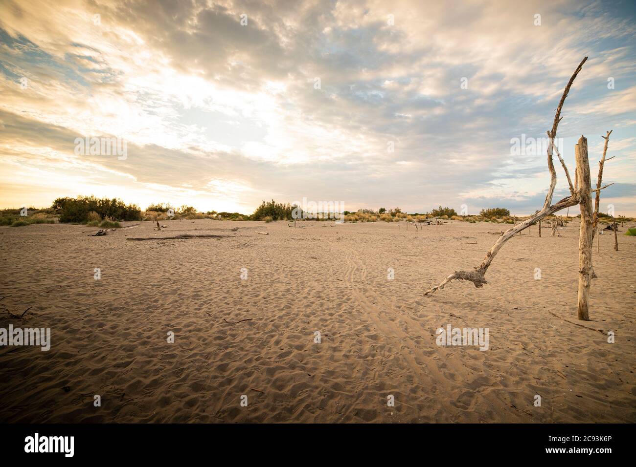 Porto Caleri coastal botanical garden and wild beach at sunset, Veneto ...