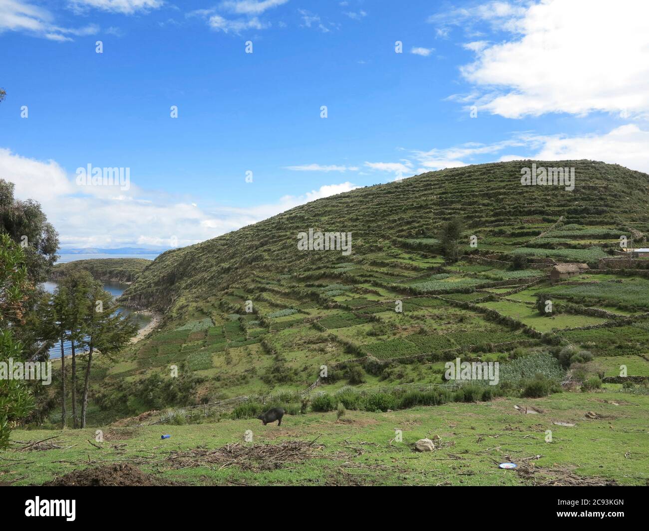 Copacabana, Titicaca lLke, border of Bolivia and Peru Stock Photo - Alamy