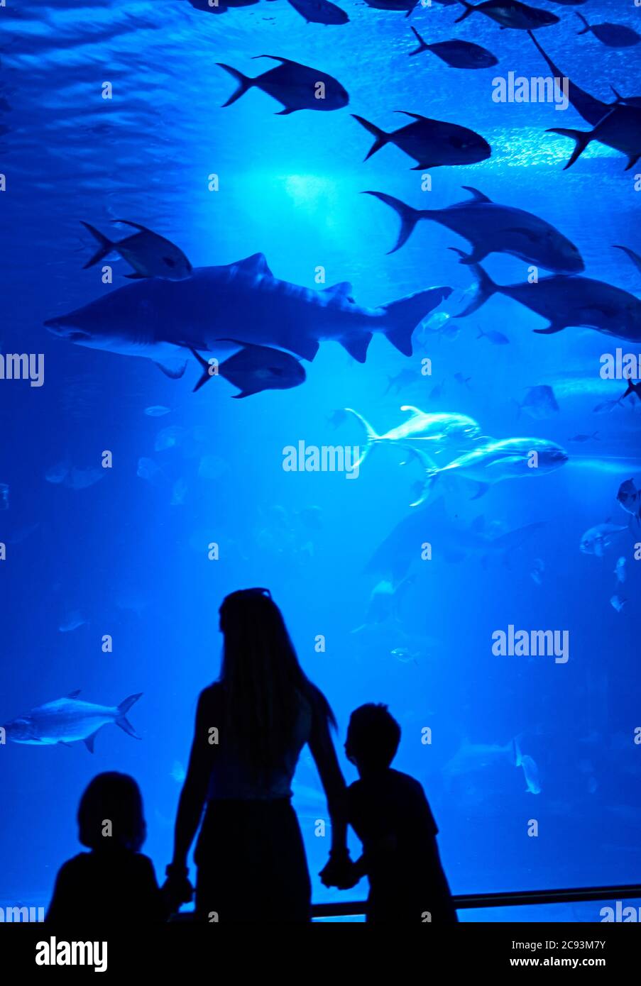 Children with fish hi-res stock photography and images - Alamy