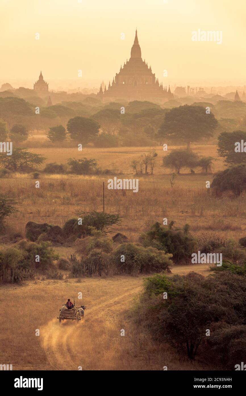 High angle vertical shot of the old Bagan temples located in Myanmar ...