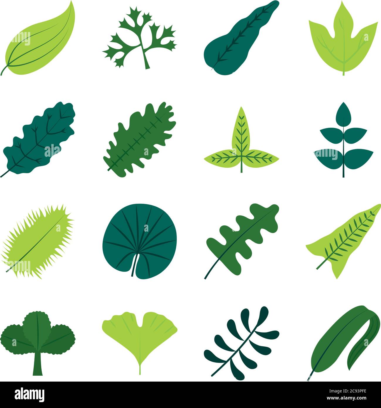 tropical leaves flat style icon set design of Natural floral nature and ...