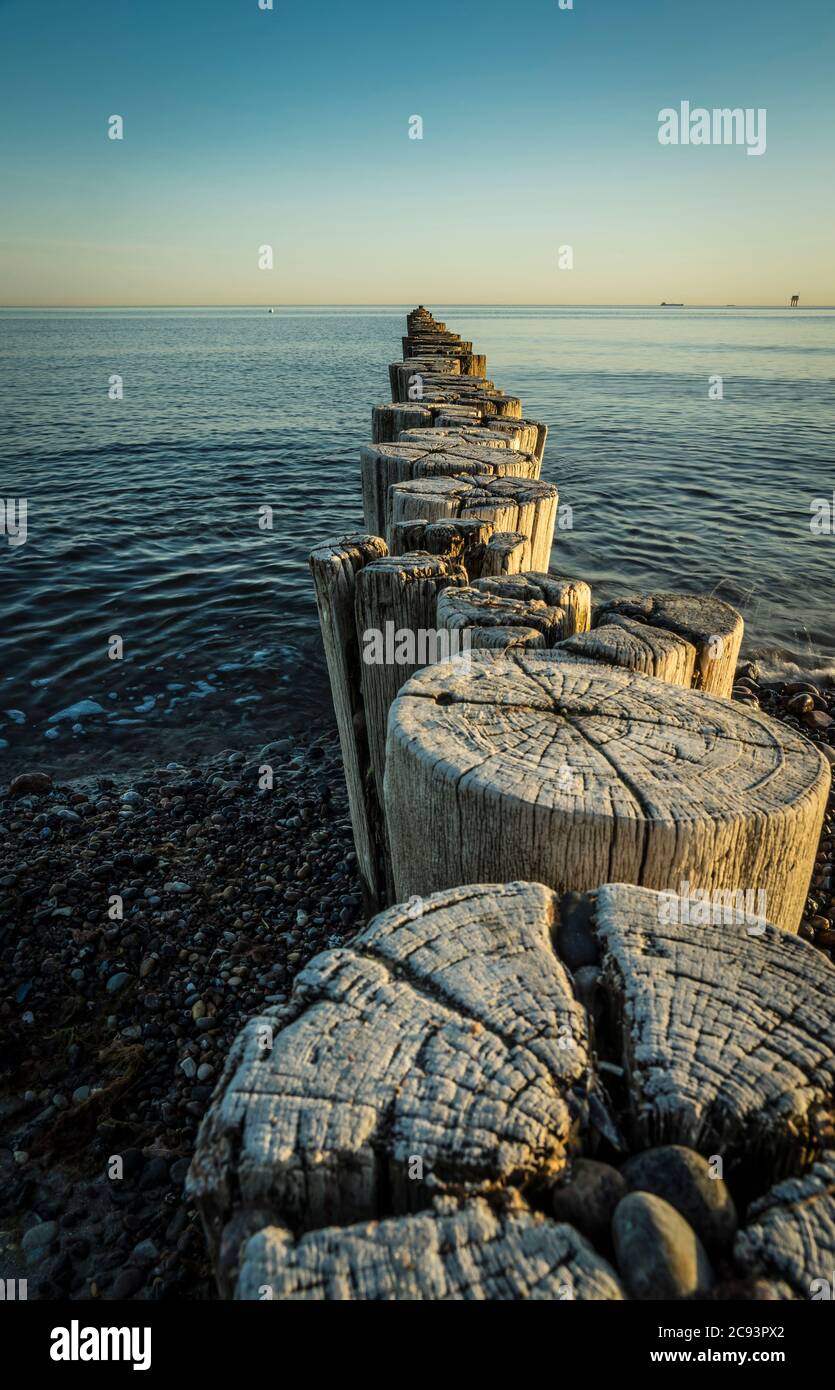 Beach protection poles on the Baltic sea Stock Photo - Alamy