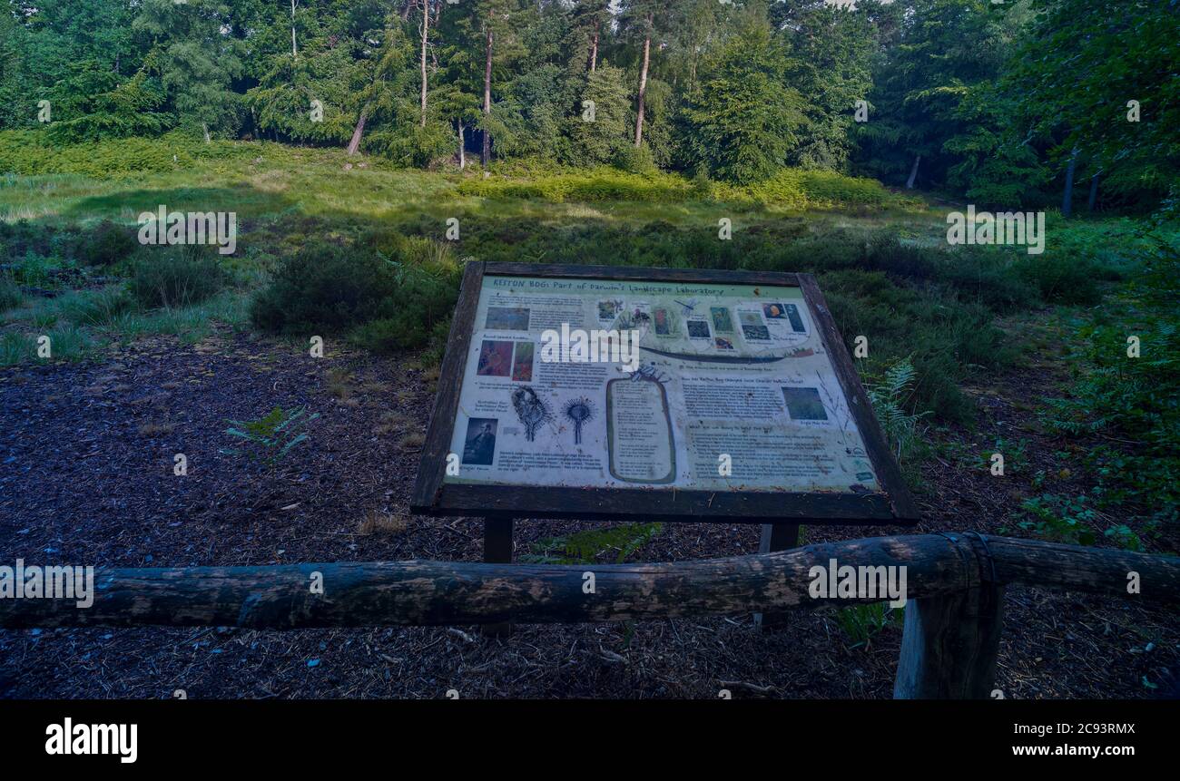 Map to Keston common conservation area with woodland in the background ...