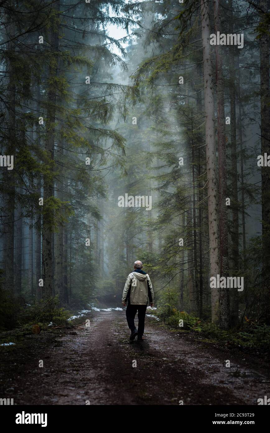 Man walking into the forest Stock Photo - Alamy