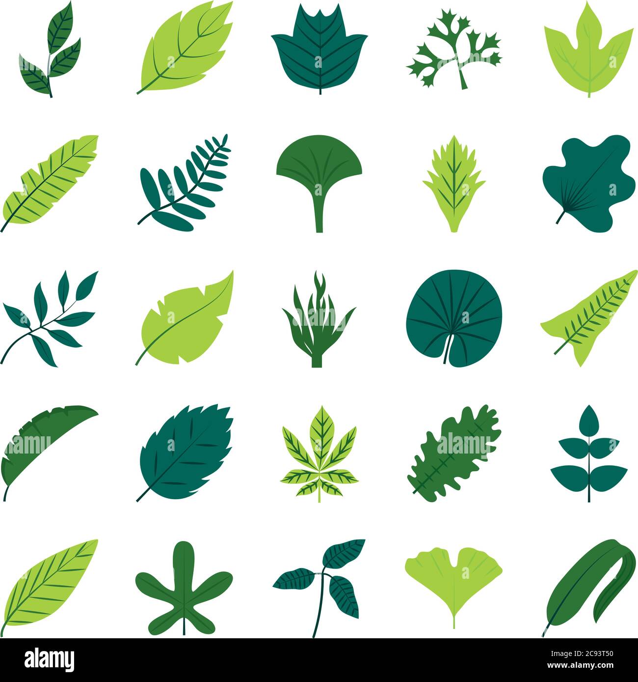 tropical leaves flat style icon set design of Natural floral nature and ...