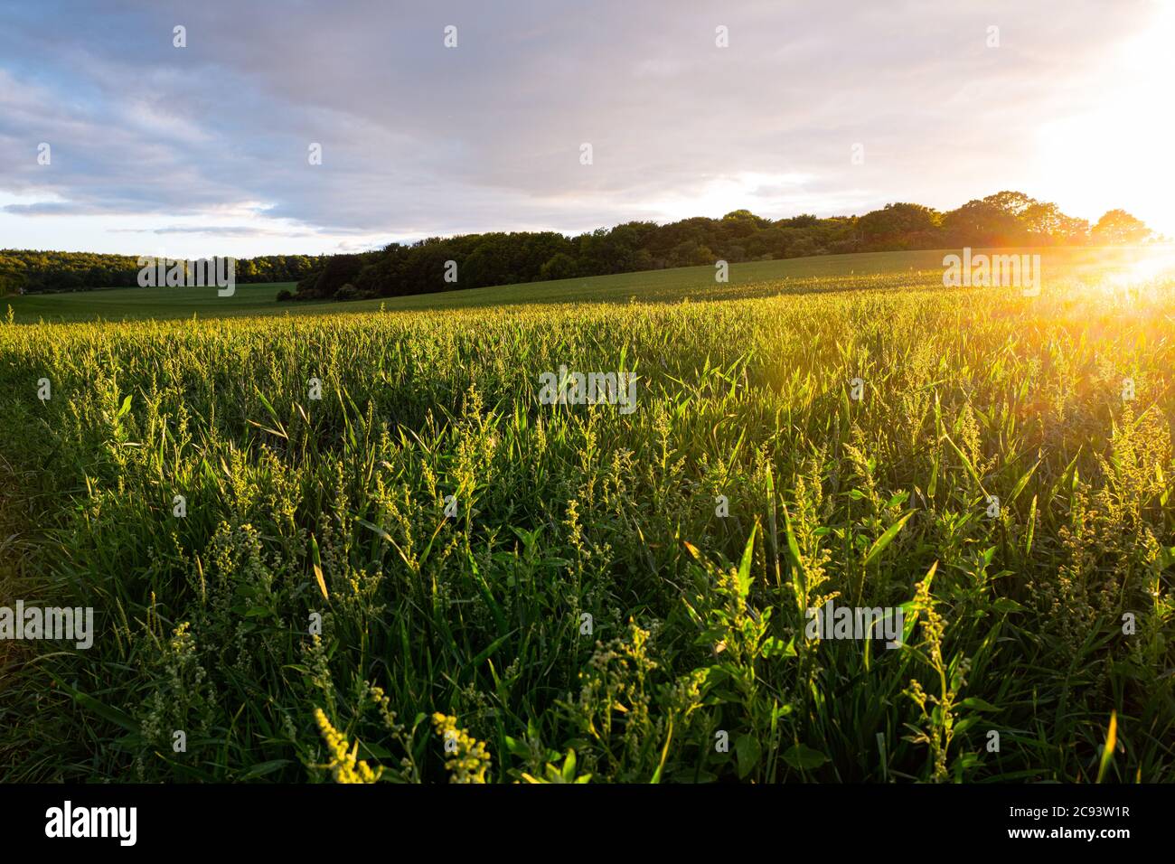 Landscape image taken at sunset, without people Stock Photo - Alamy