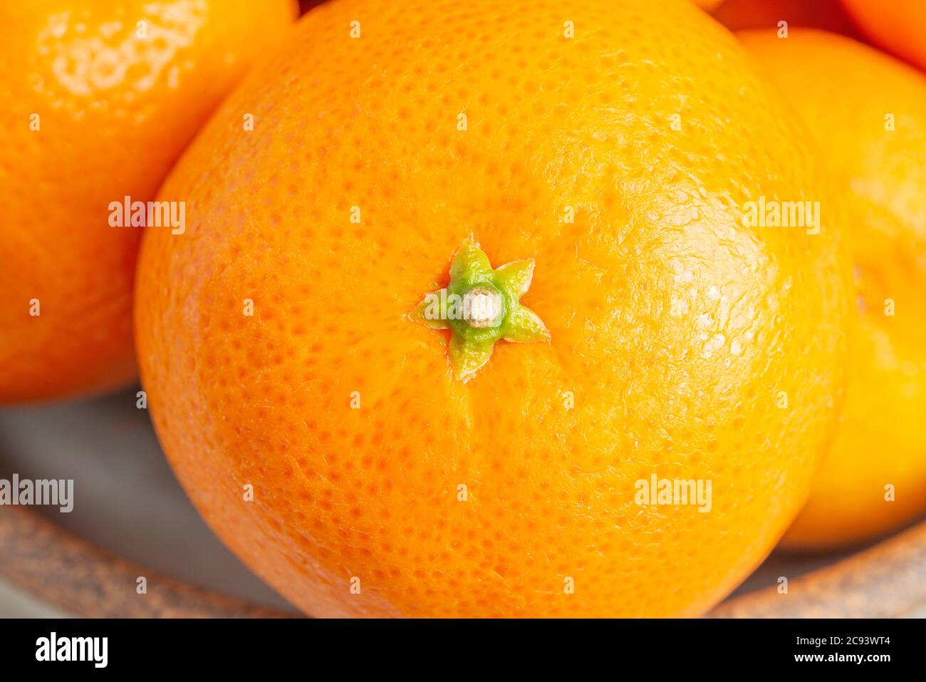 An extreme close-up or macro shot of the top portion of the skin and ...